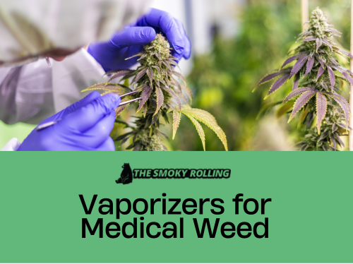 Vaporizers for Medical Weed: A Guide To Choosing The Right One – The ...